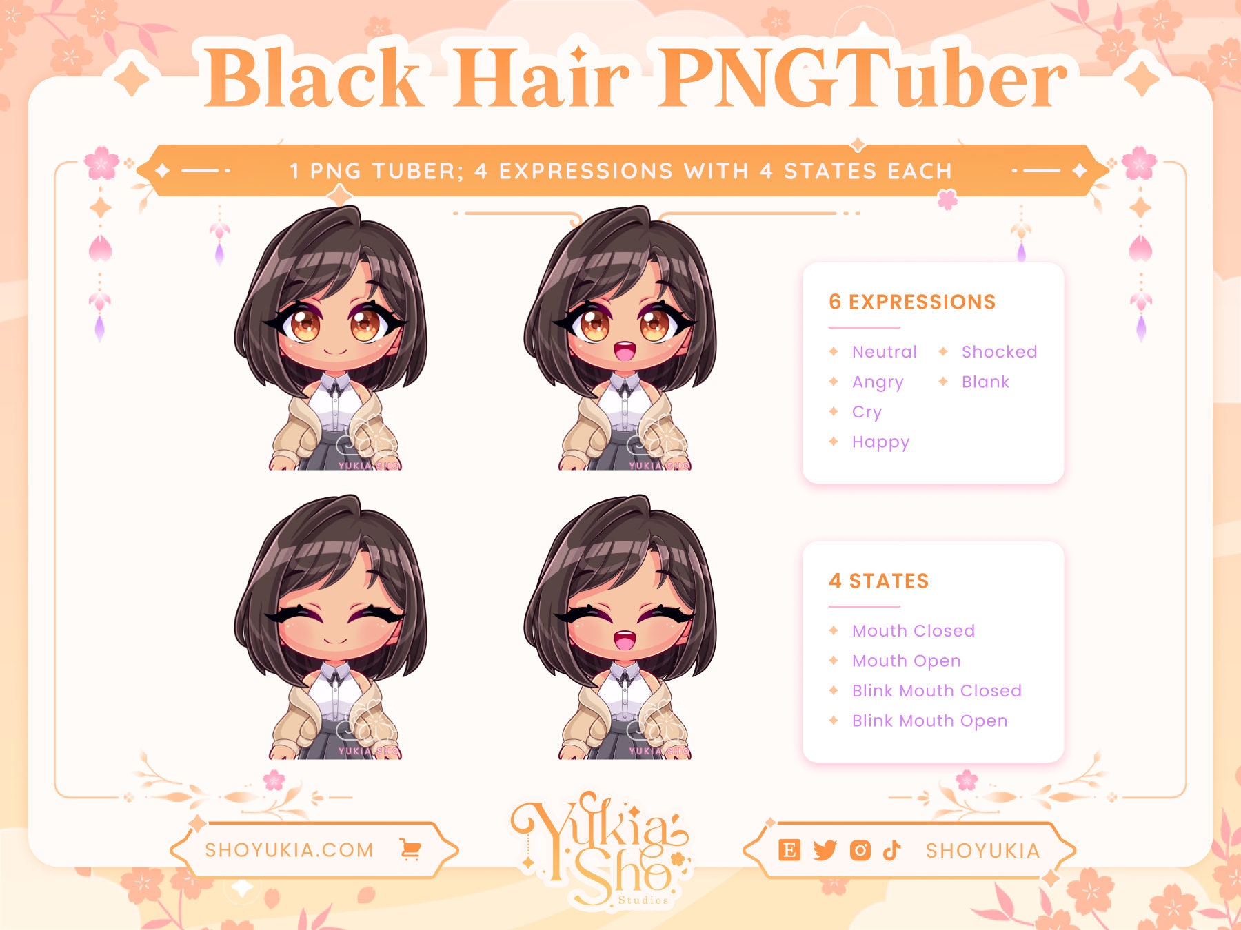 Short Black Hair Brown Eyes Chibi Pngtuber Model for Twitch/youtube ...