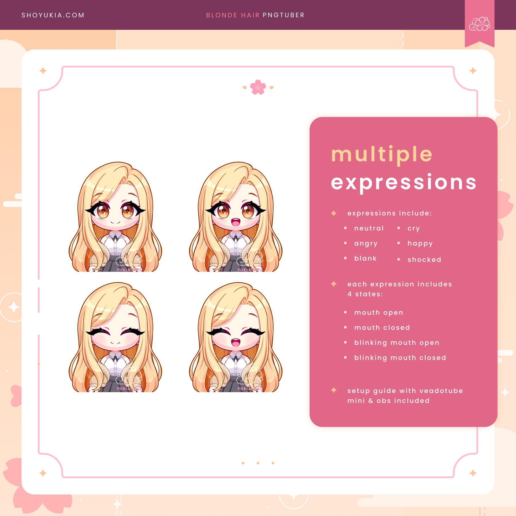 Female Chibi Pngtuber Avatar | Vtuber Streamer Model for Twitch ...