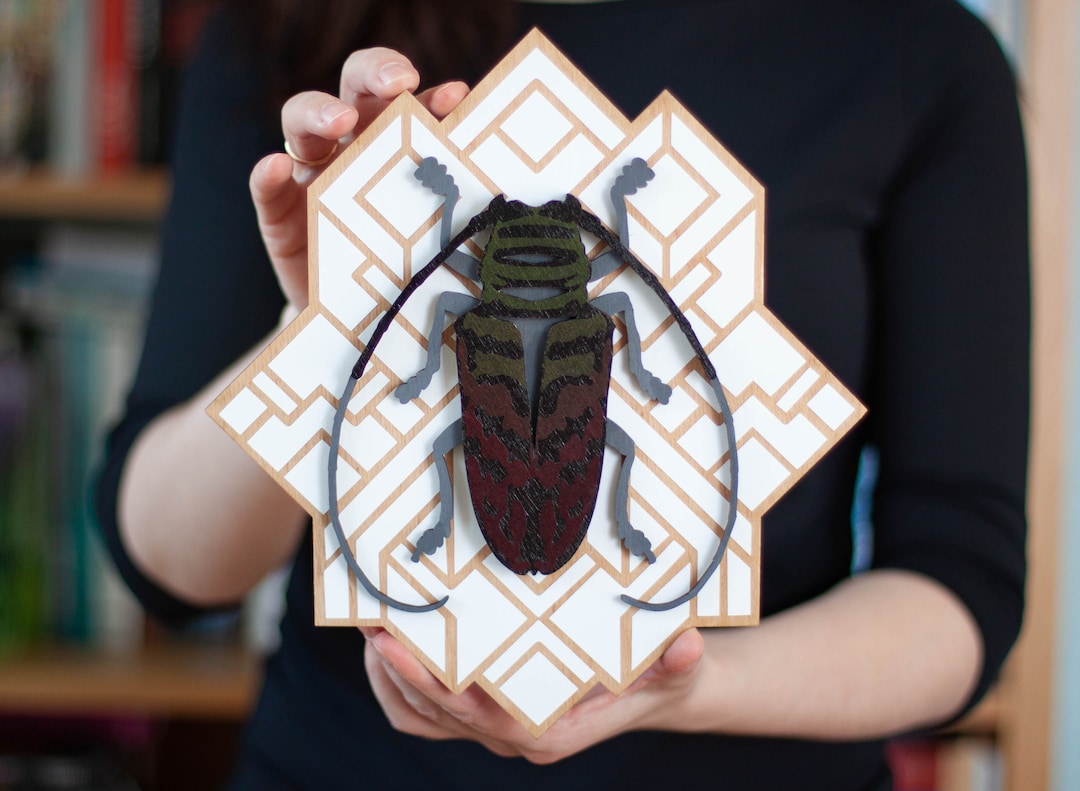 Collectable Insect Artwork, 3D Multilayer Wall Art Hanging, Handcrafted ...