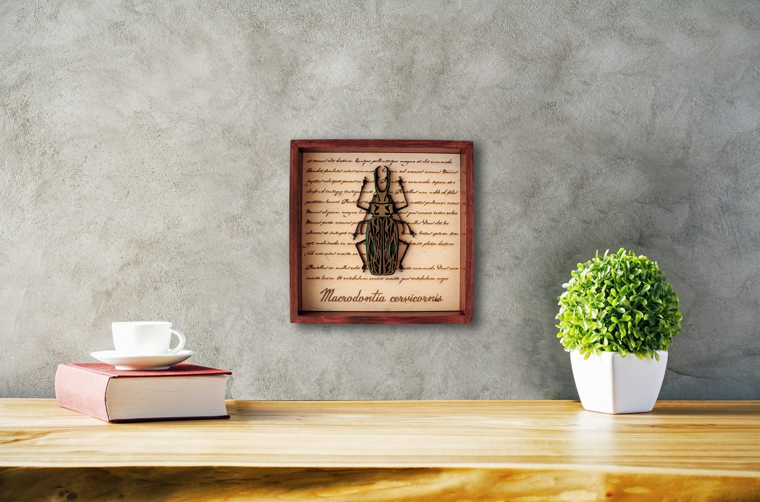 Faux Taxidermy Insect Wall Mount. Sabertooth Longhorn Beetle - Etsy
