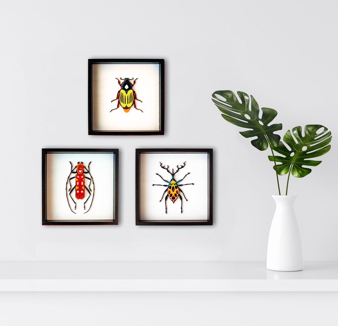 3 Piece Wall Hanging Decor, Faux Taxidermy Insects in Frame, Awesome ...