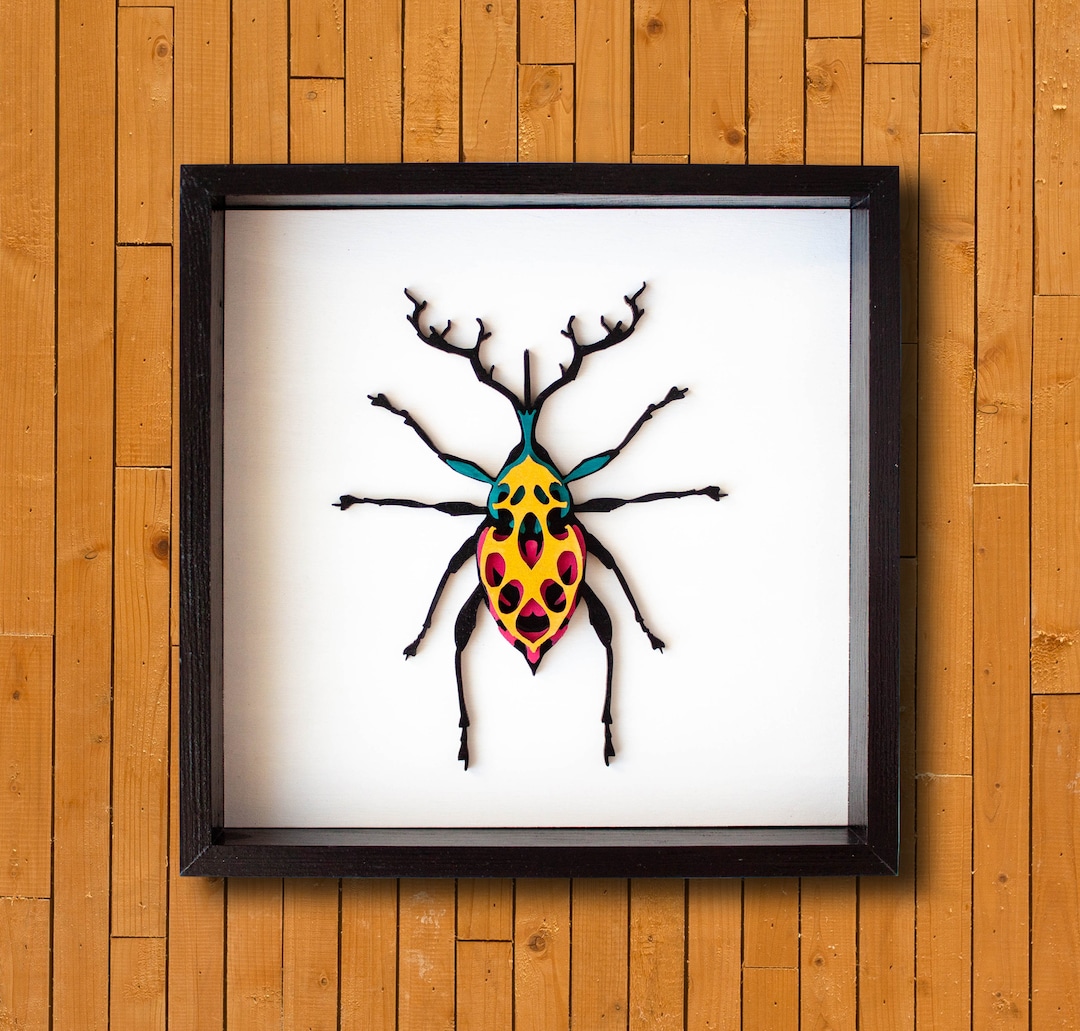 Original Insect Wall Hanging, Unique Entomology Gift, Curiosity Cabinet ...