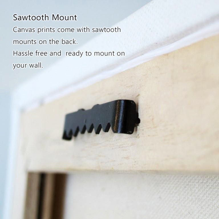 Shibari B N W 6 Stretched Canvas Shibari Photography Japanese Sex Art ...