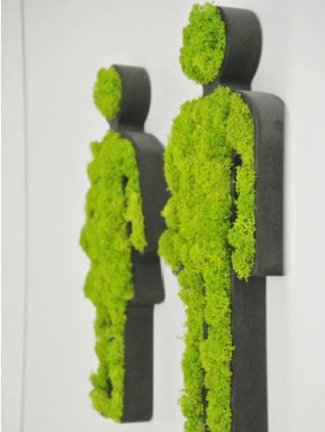 Wall Moss Sign Moss Art Moss Restroom Sign Bathroom Door | Etsy