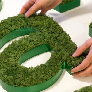 Wall Moss Letters Office Sign, Interiors Vertical Moss Art, Natural ...