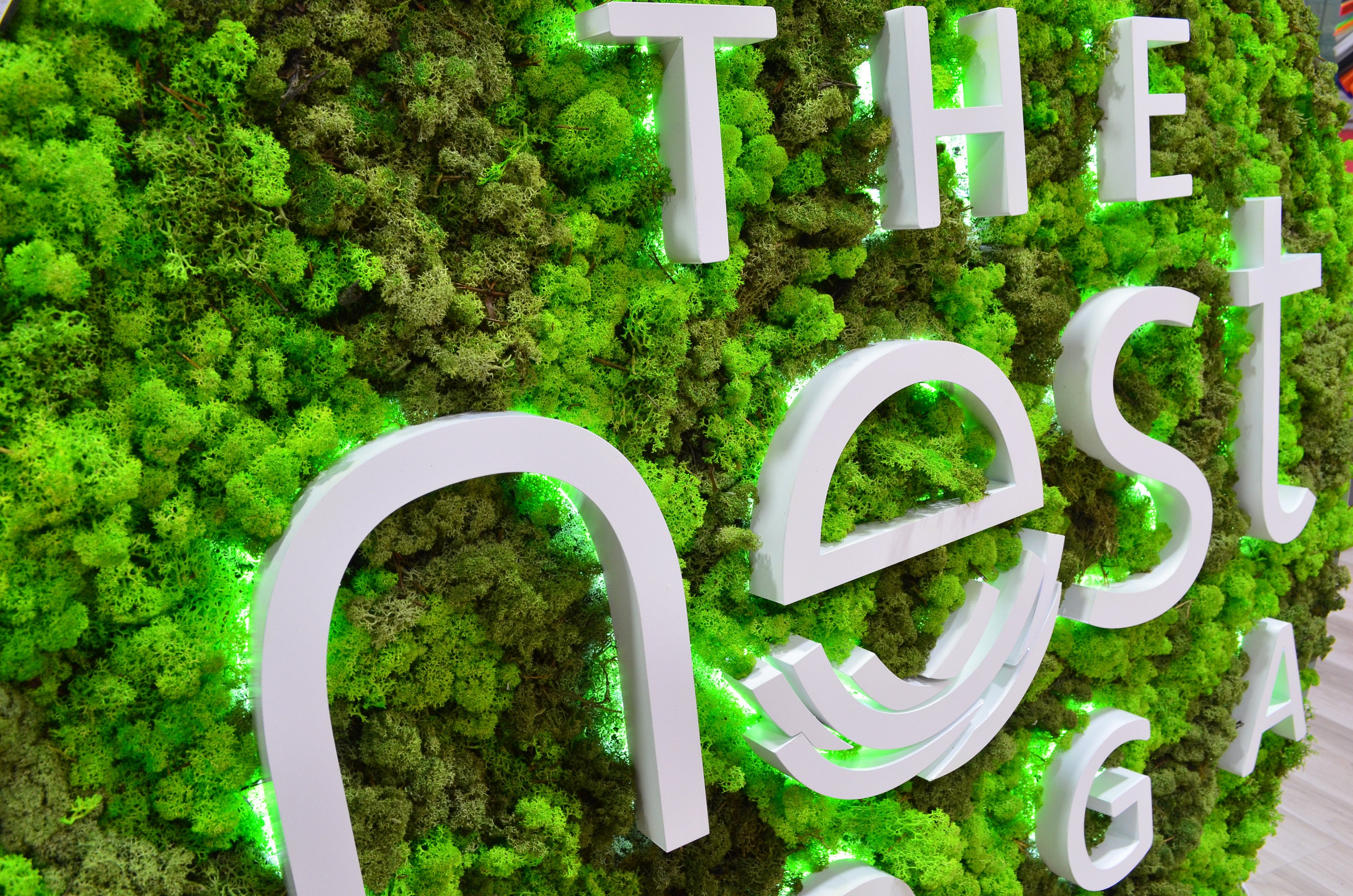 Moss Wall Art Sign,moss Logo,moss Wall, Office Moss Sign,custom Moss ...