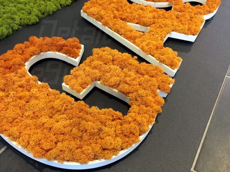 Wall Moss Office Sign Vertical Moss Art Natural Office Wall - Etsy Canada