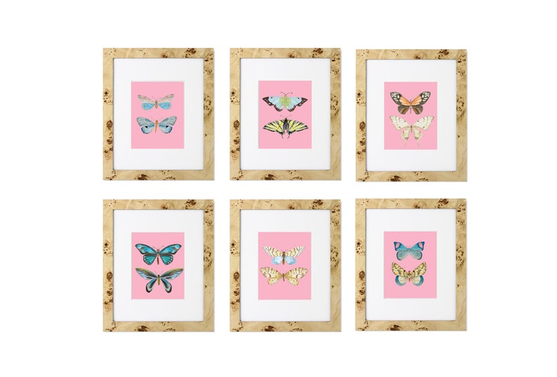 Set of 6 Watercolor Butterflies | Preppy Decor | Butterfly Art ...
