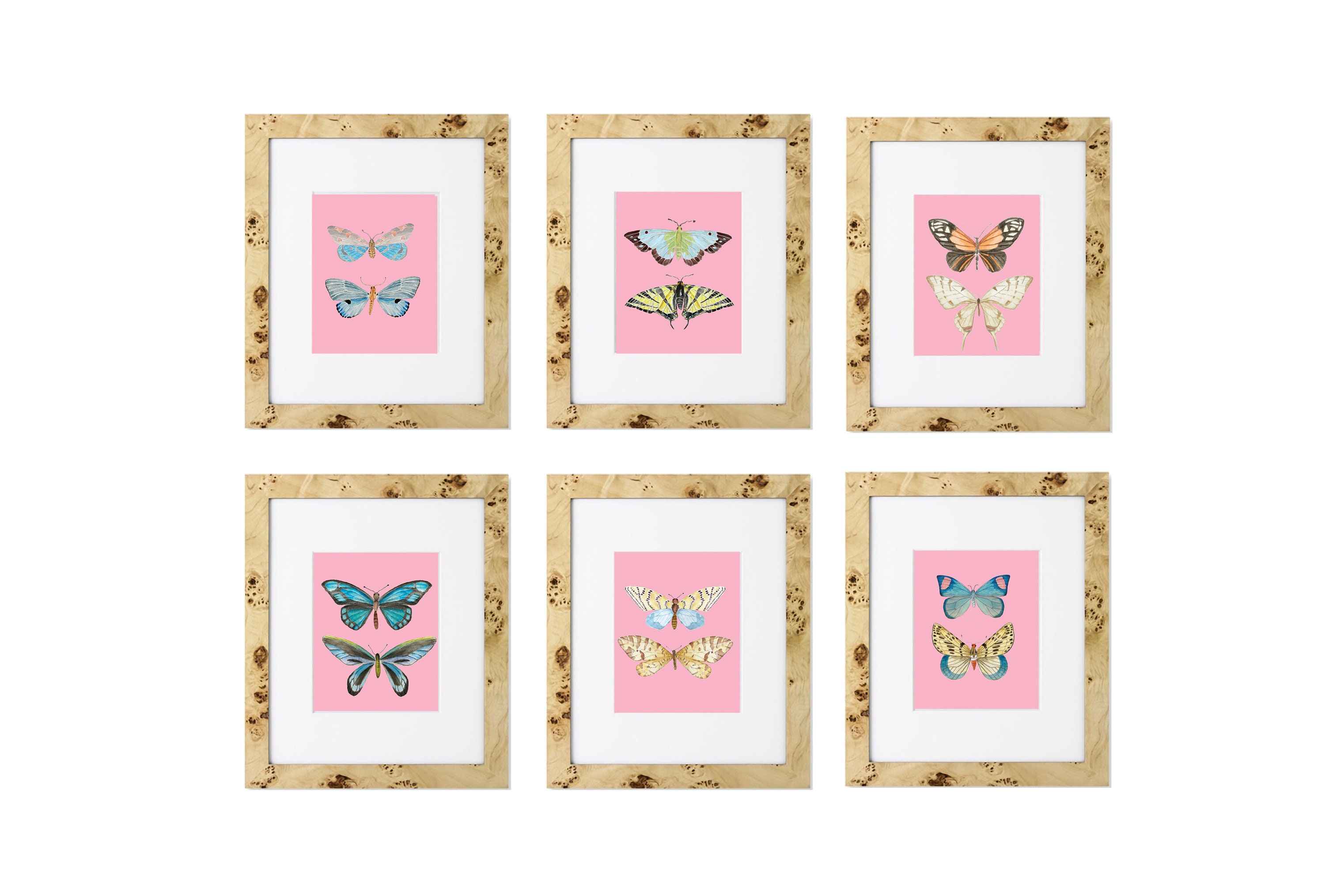 Set of 6 Watercolor Butterflies | Preppy Decor | Butterfly Art ...