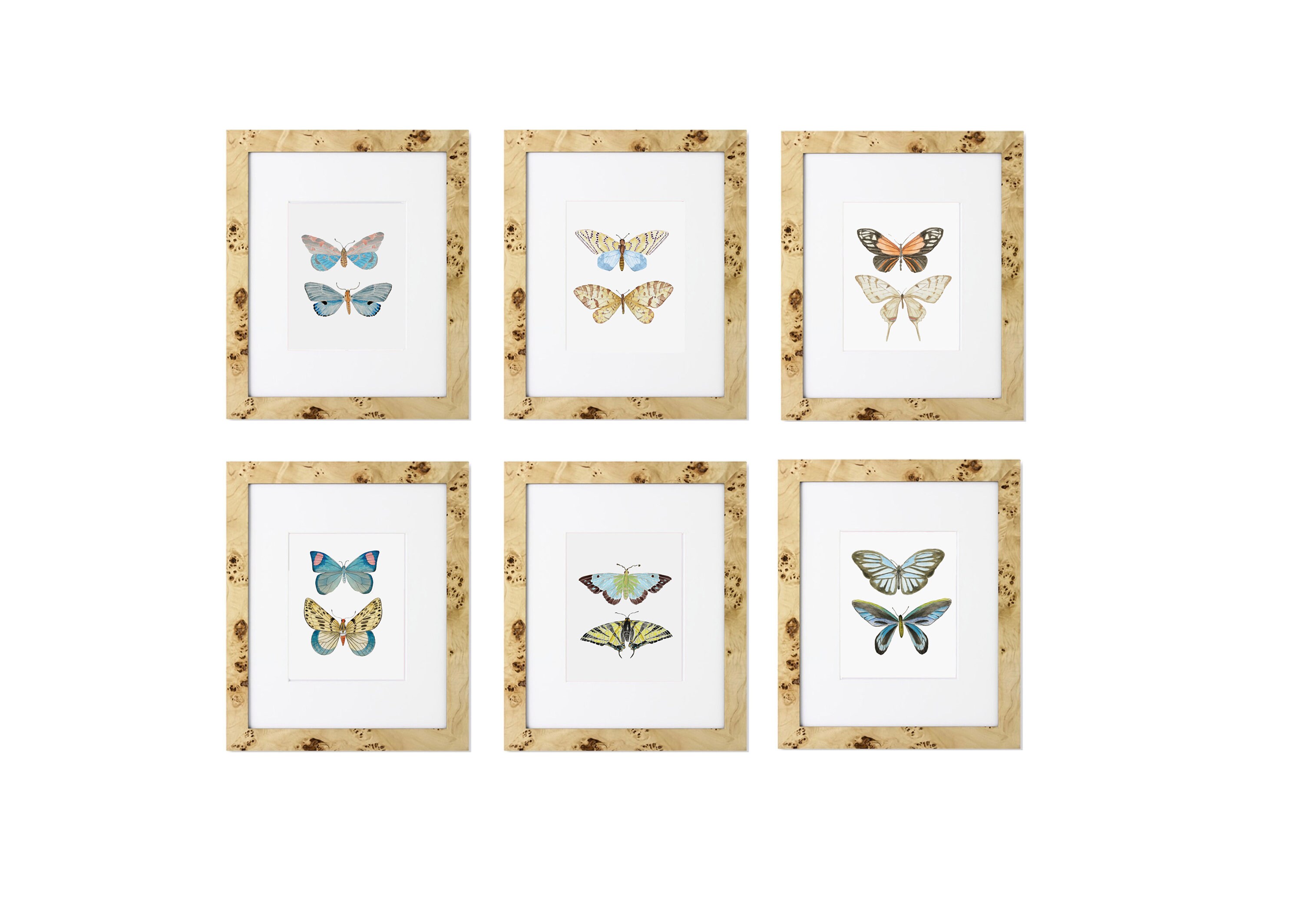 Set of 6 Watercolor Butterflies | Preppy Decor | Butterfly Art ...