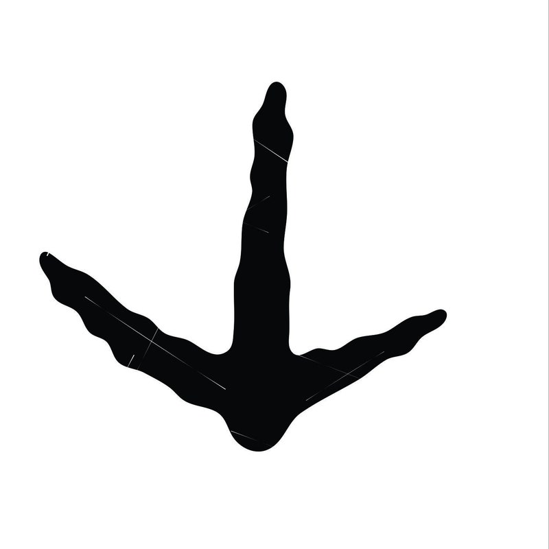 Bird Feet Drawing - Etsy