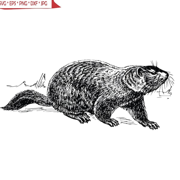 Beaver Embroidery File - Etsy