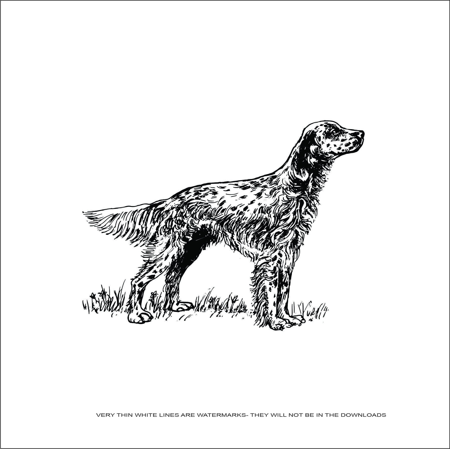 Dog English Setter Bird Dog Pointer Hunter Waterfowl Dog | Etsy