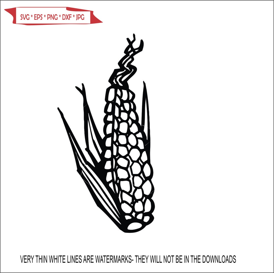 Corn Cob in Husk #4 Sweetcorn Vegetable Farm Grill Cookout Food Yummy ...