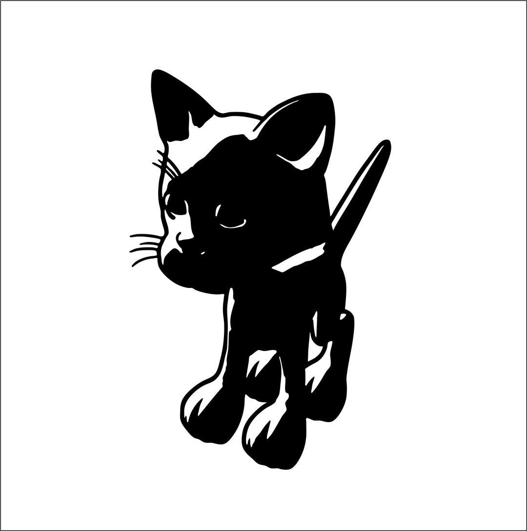 Cute Baby Kitten Cat Kitty Feline Purebred Pet Animal Rescue Meow ...