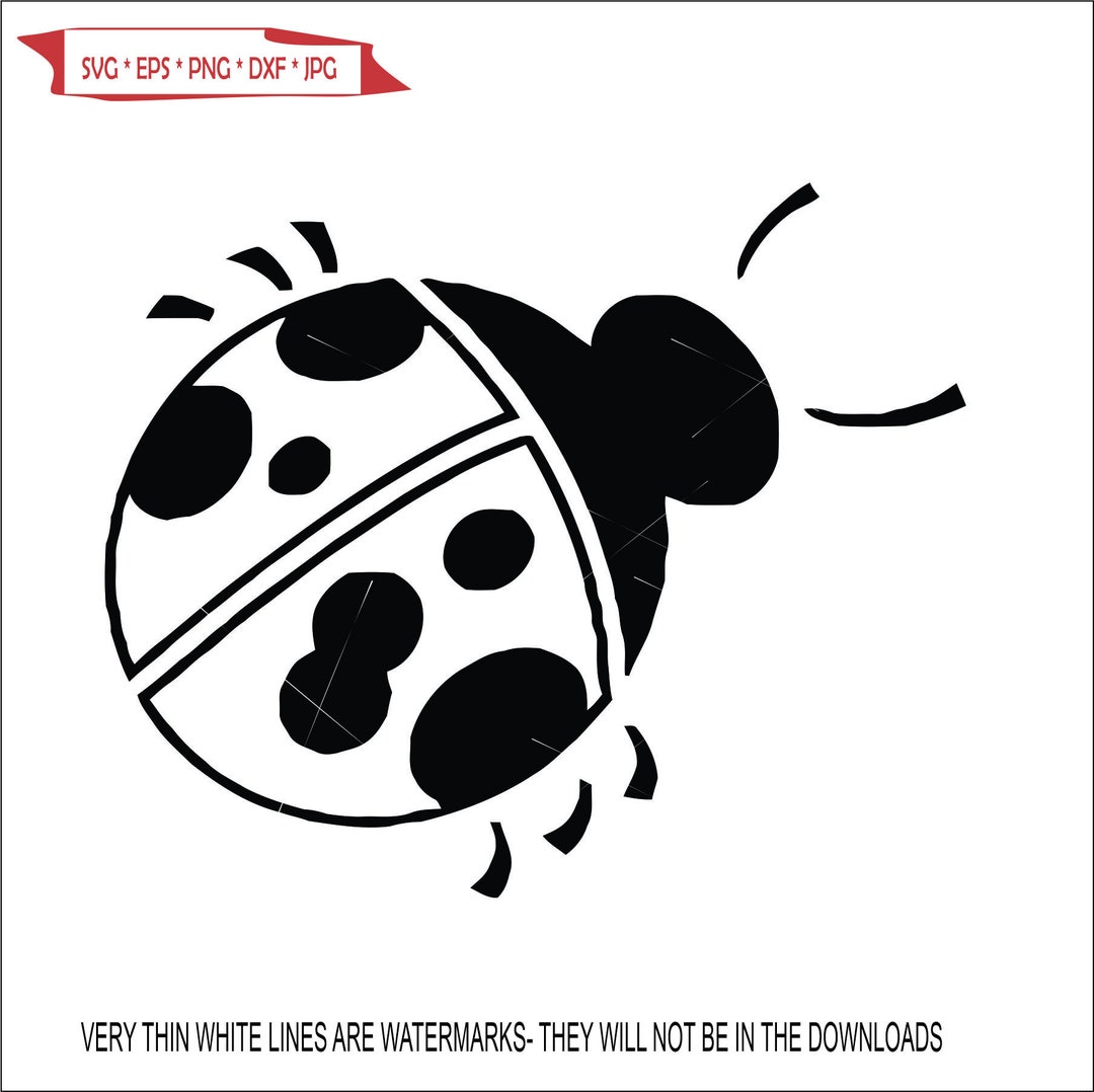 Simple Ladybug Nature Beetles Bug Insect Ladybird Tentacle Red Black ...