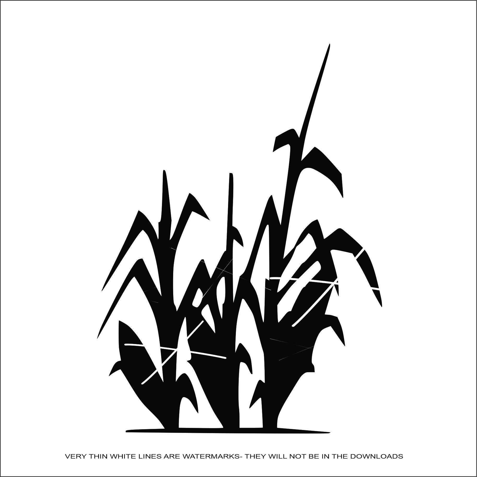 Corn Stalk Two Ear Corn Cob Simple Sweetcorn Vegetable Farm Grill ...
