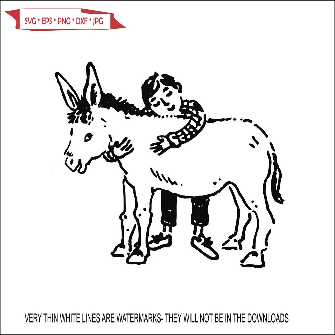 Boy Hug MULE Donkey Jackass Burro Show Love Affection Cute Farm Animal ...