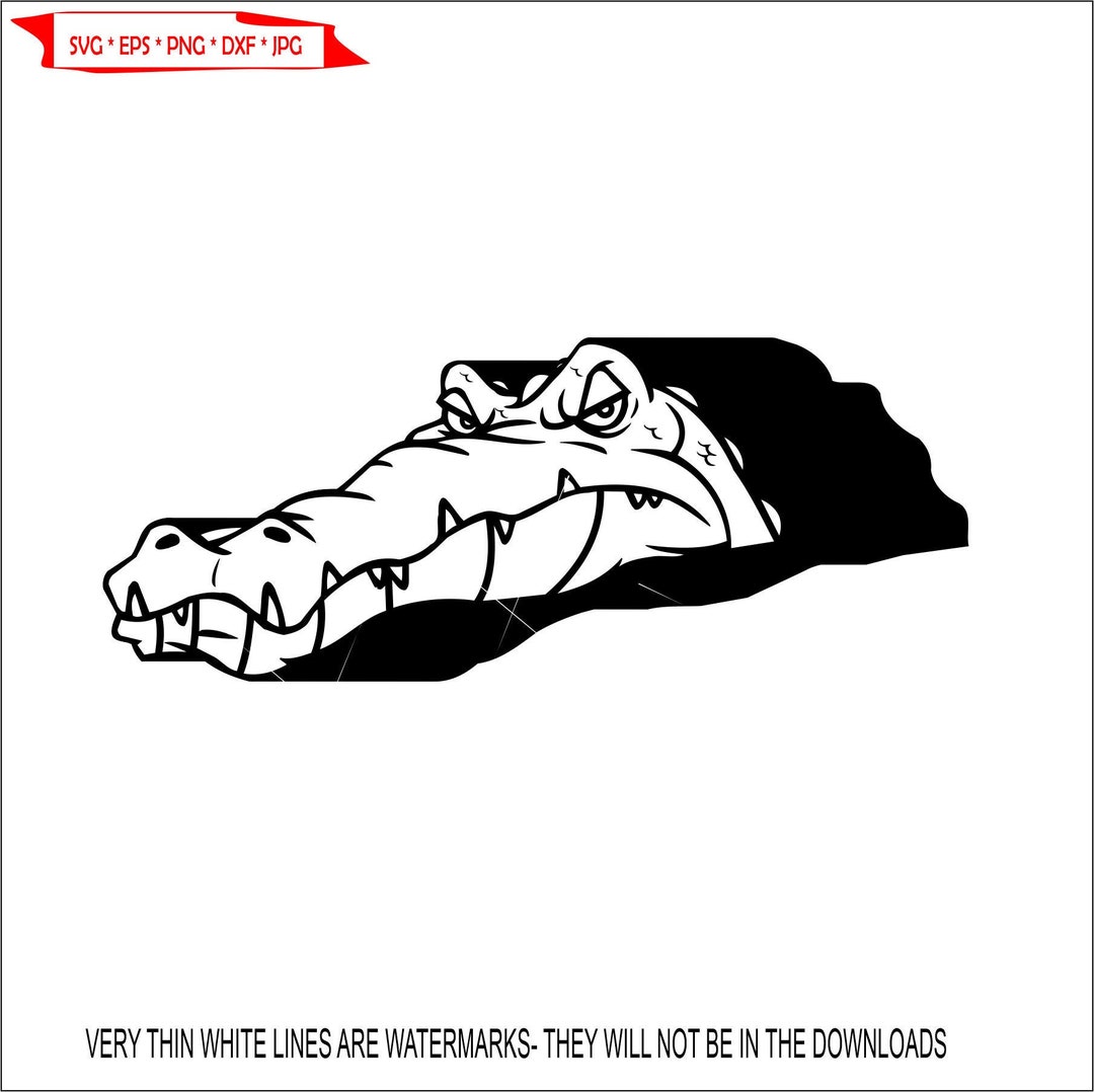 Alligator Gator Face Swamp Wildlife Gator Crocodile Reptile Wild Animal ...