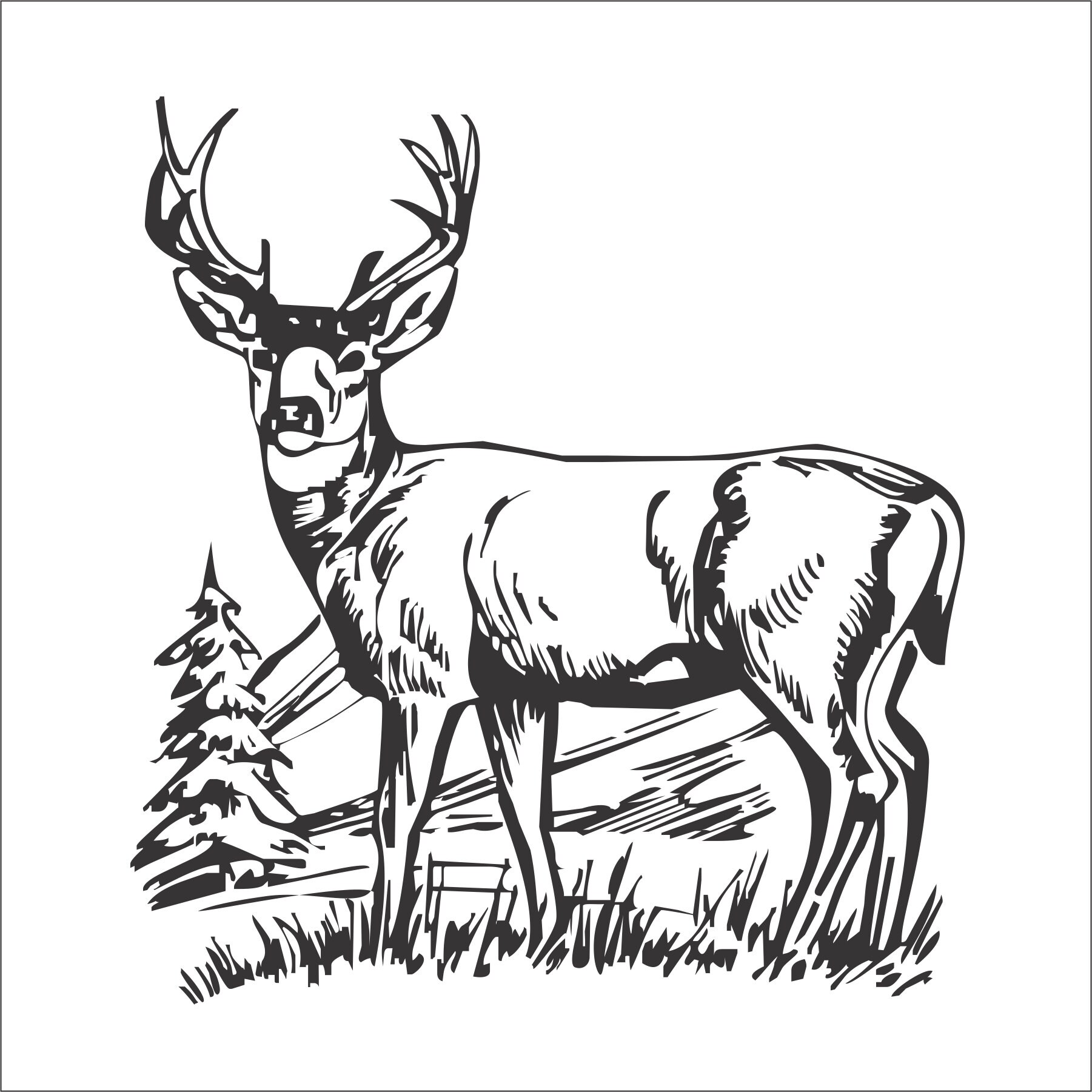 Deer Forest Scene Big Racks Tree Hunting Sport Forest Animal Taxidermy ...