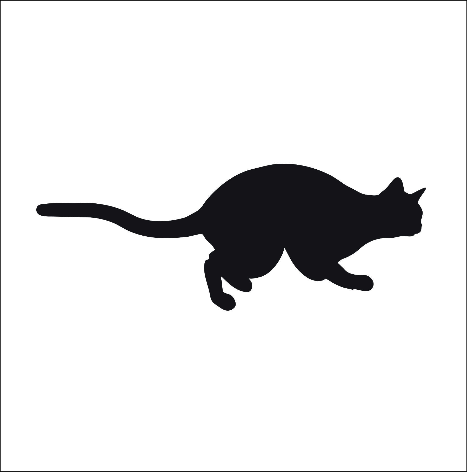 Kitten Pouncing Drawing