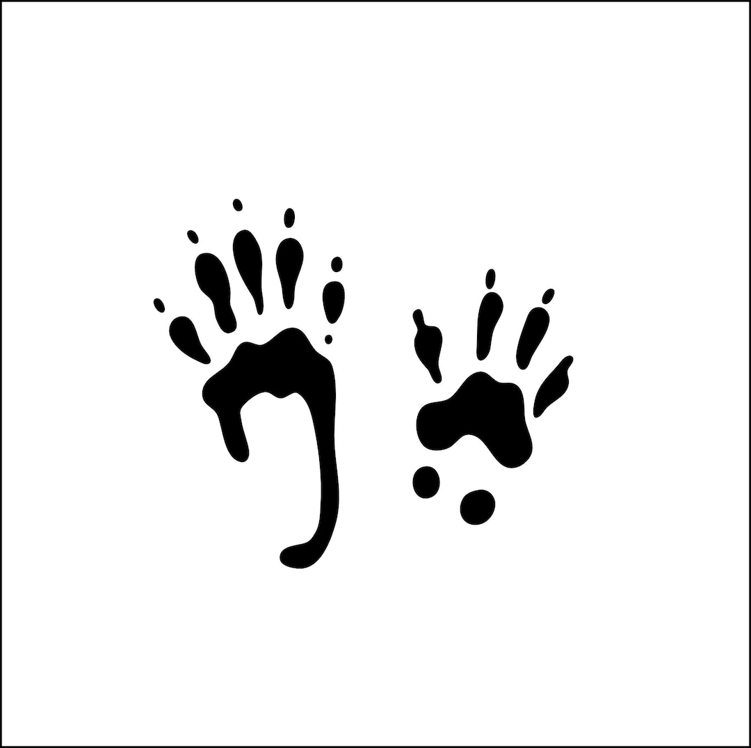 Squirrel Tracks Small Foot Print Wild Pet Yard Animal Treevpaw ...