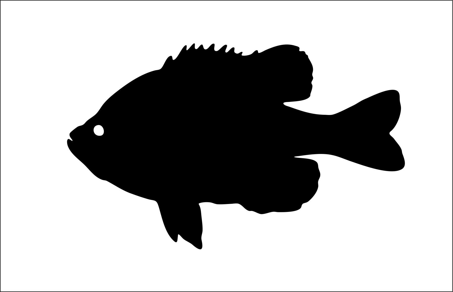 BlueGill Fish Blue Gill Fishing Cut Sign Image ClipArt | Etsy