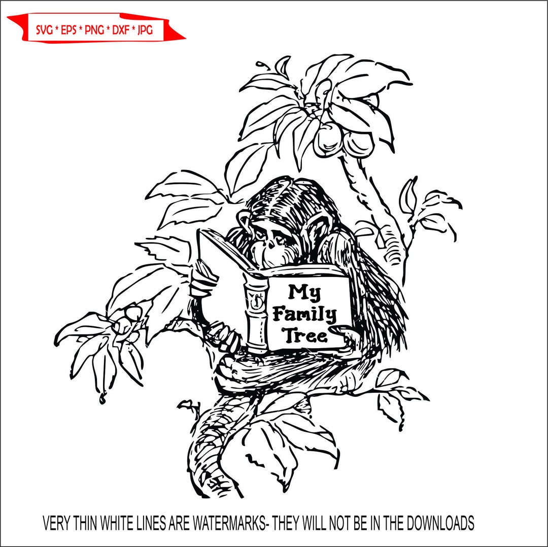 Monkey Read Family Coconut Tree Book Gorilla Wildlife Zoo Jungle Animal ...