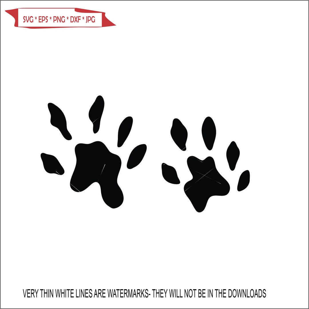 Otter Tracks Foot Print Wildlife Animal Paw Identification Webbed Feet ...