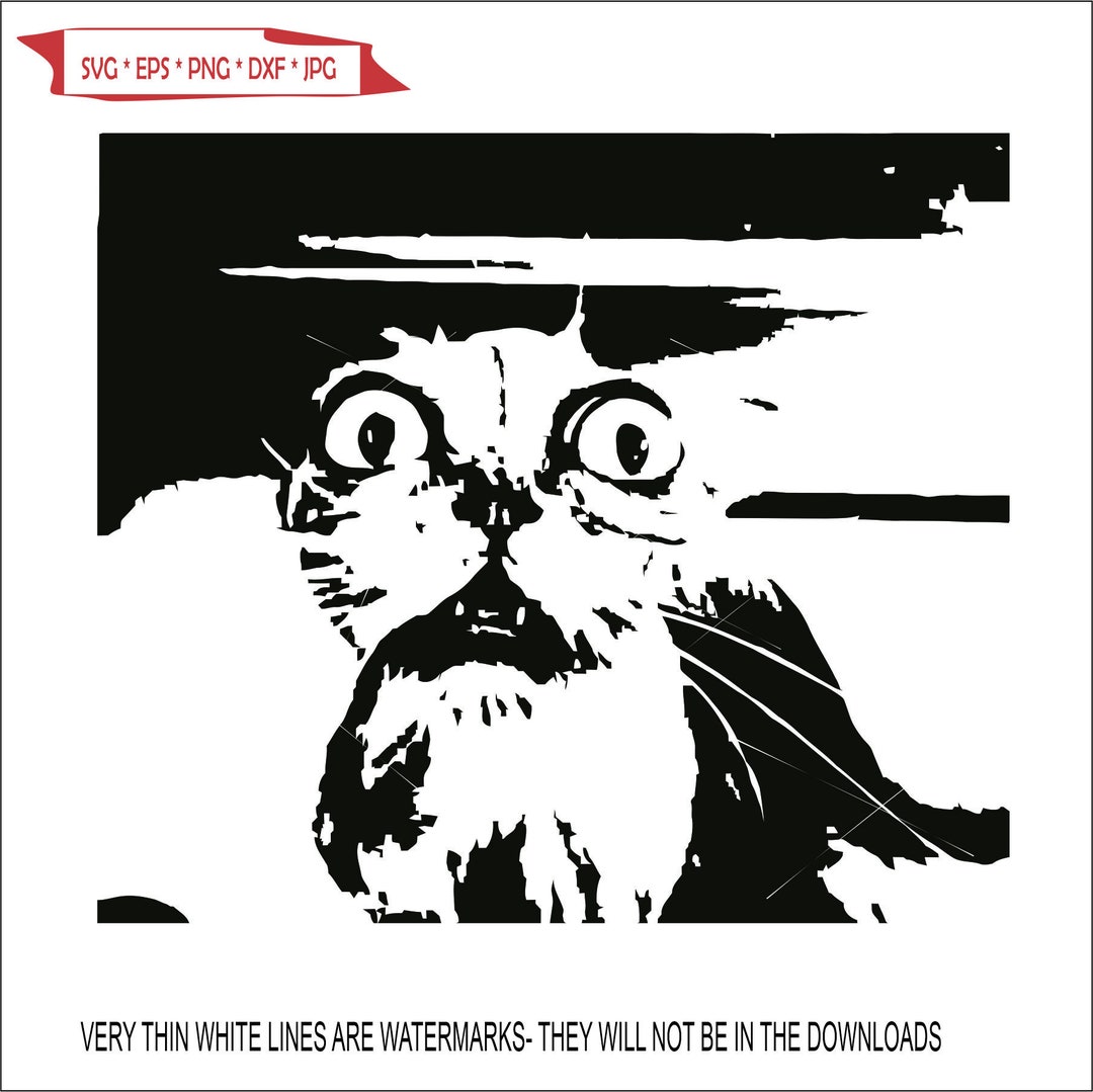 Scared Cat Afraid Panic Spooky Face Kitty Sad Mischief Feline Animal Pet Big Eyes Cut Sign ...