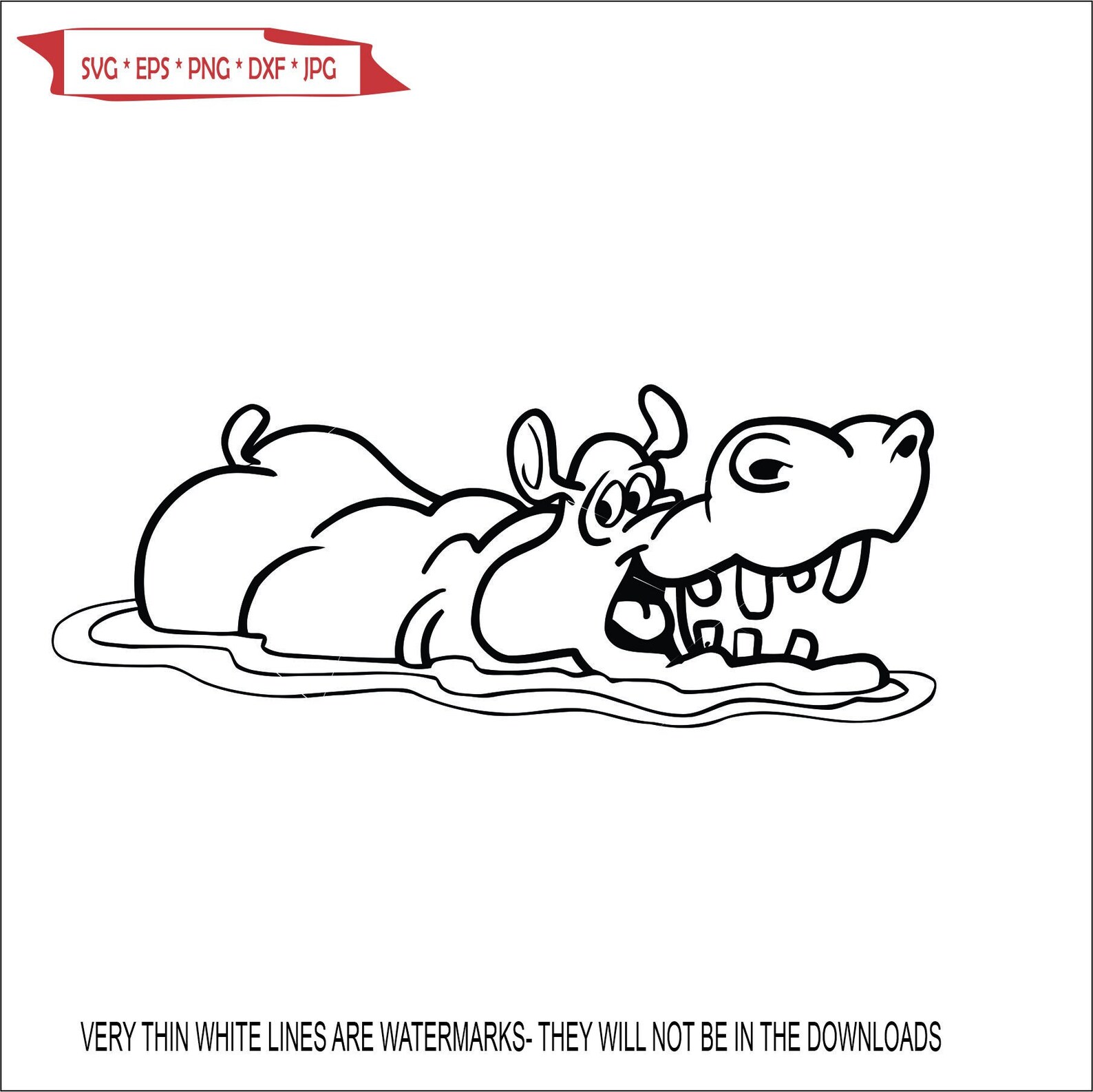Hippopotamus Hippo Large Mouth Teeth Zoo Wild Animal Safari Wildlife ...