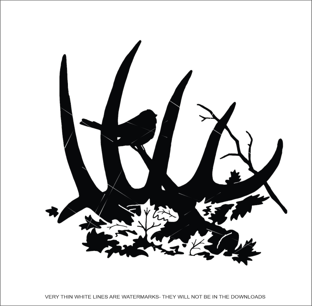 Bird Perched Deer Racks Big Antlers Hunting Forest Animal Silhouette ...
