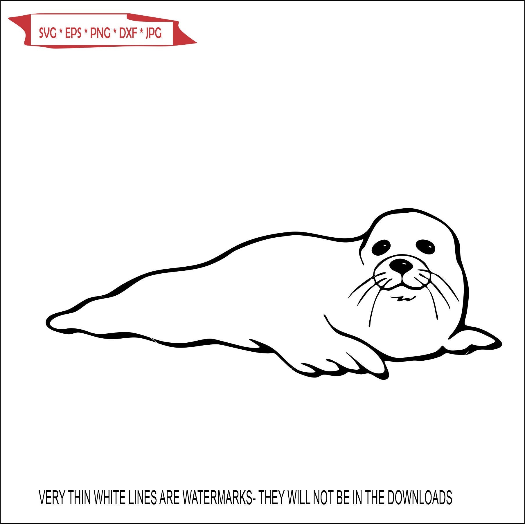 White Seal Laying Animal Aquatic Water Flippers Sea Lion Swimmers ...