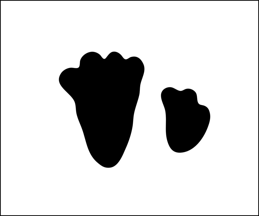 Hare Rabbit Tracks Foot Print Wild Animal Jackrabbits Paw ...