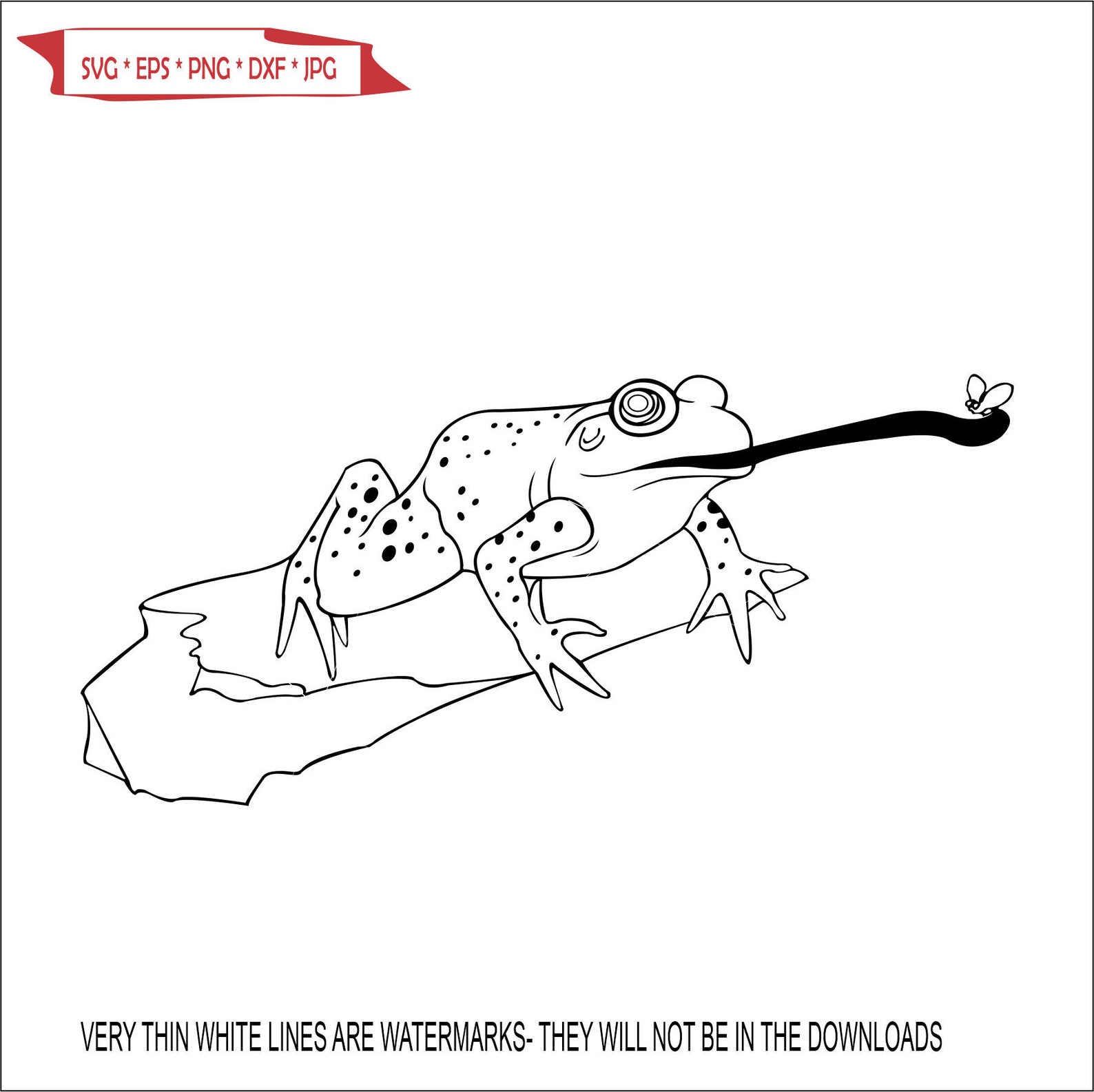 Frog Catch Fly Long Tongue Stretch Out Toad Ribbit Pet Animal | Etsy