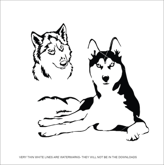 Dog Laying Down Side View Drawing