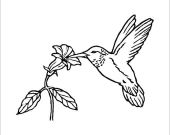 Hummingbird Feeder Dxf - Etsy