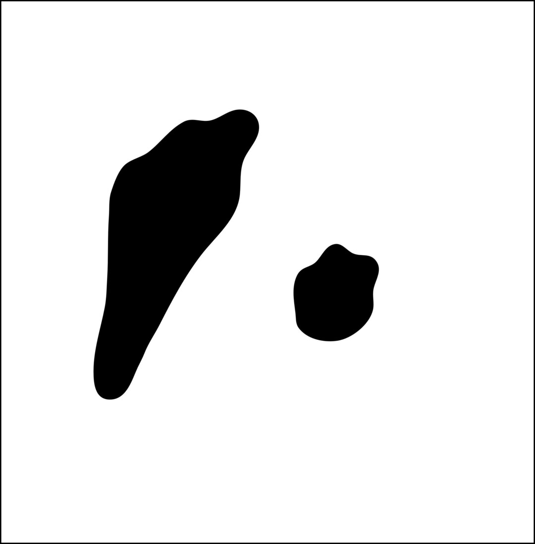 Cottontail Rabbit Tracks Foot Print Wild Yard Animal Paw Identification ...