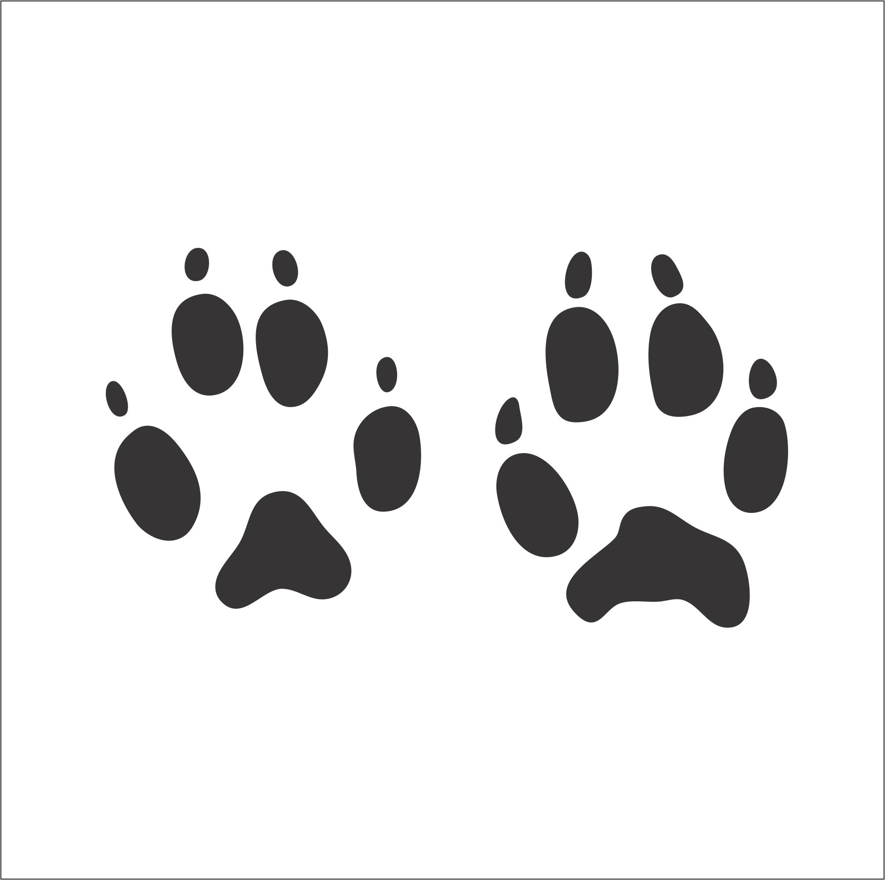 Fox Track Foot Print Animal Track paw print Animal zoo | Etsy