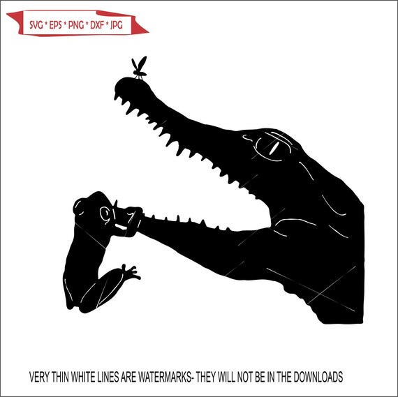 Alligator Frog Hanging Mouth Fly on Head Wildlife Gator | Etsy