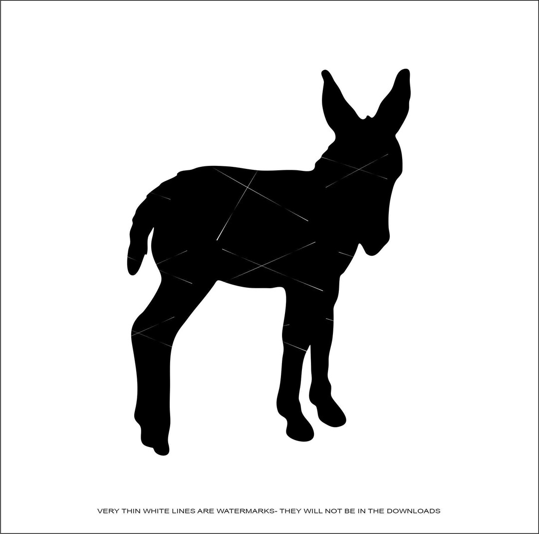 Mule Colt Baby Mule Filly Donkey Burro Jackass Jenny Jack Male Mule ...