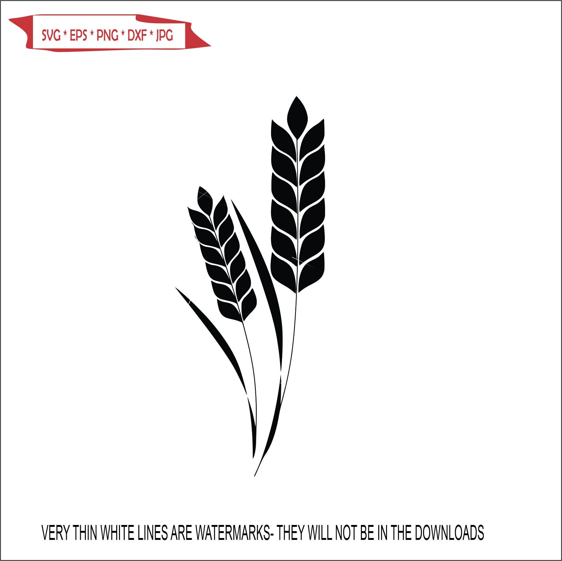 Simple Wheat Straw Stem Grain Edible Plant Fiber Seed Autumn Crop ...