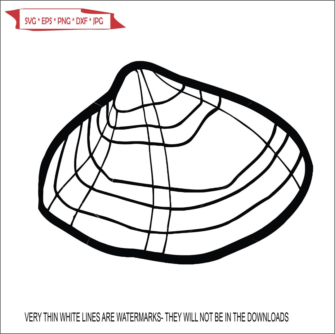 Oyster Seashell Summer Beach Memories Surf Sand Sea Shell Shore Ocean ...