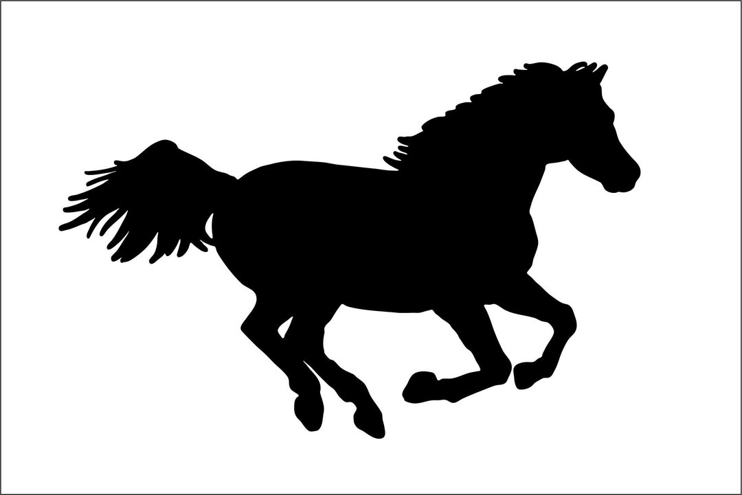 Gorgeous Horse Galloping Running at Full Speed Stallion Thoroughbred ...