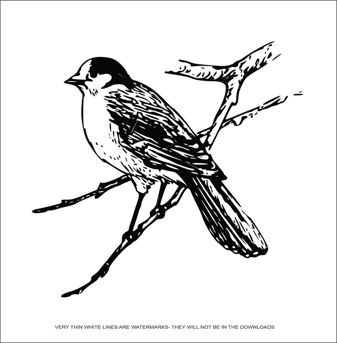 Bird on Limb Canada Jay Camp Robber Northern Forests Cold | Etsy