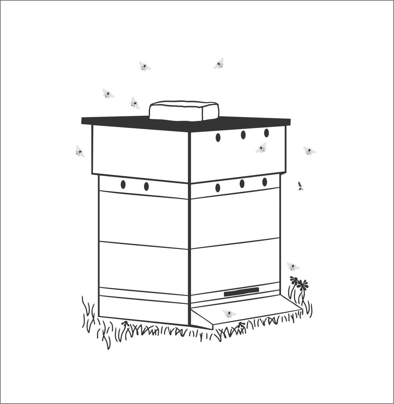 Beehive Box Beekeeper Honey Bee Collector Pollen Bee Colony - Etsy