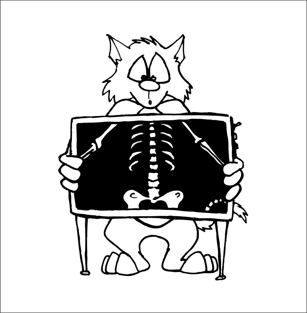 Cat X-ray of Stomach Full Body Cartoon Domestic Cat * Cut Sign Image ...