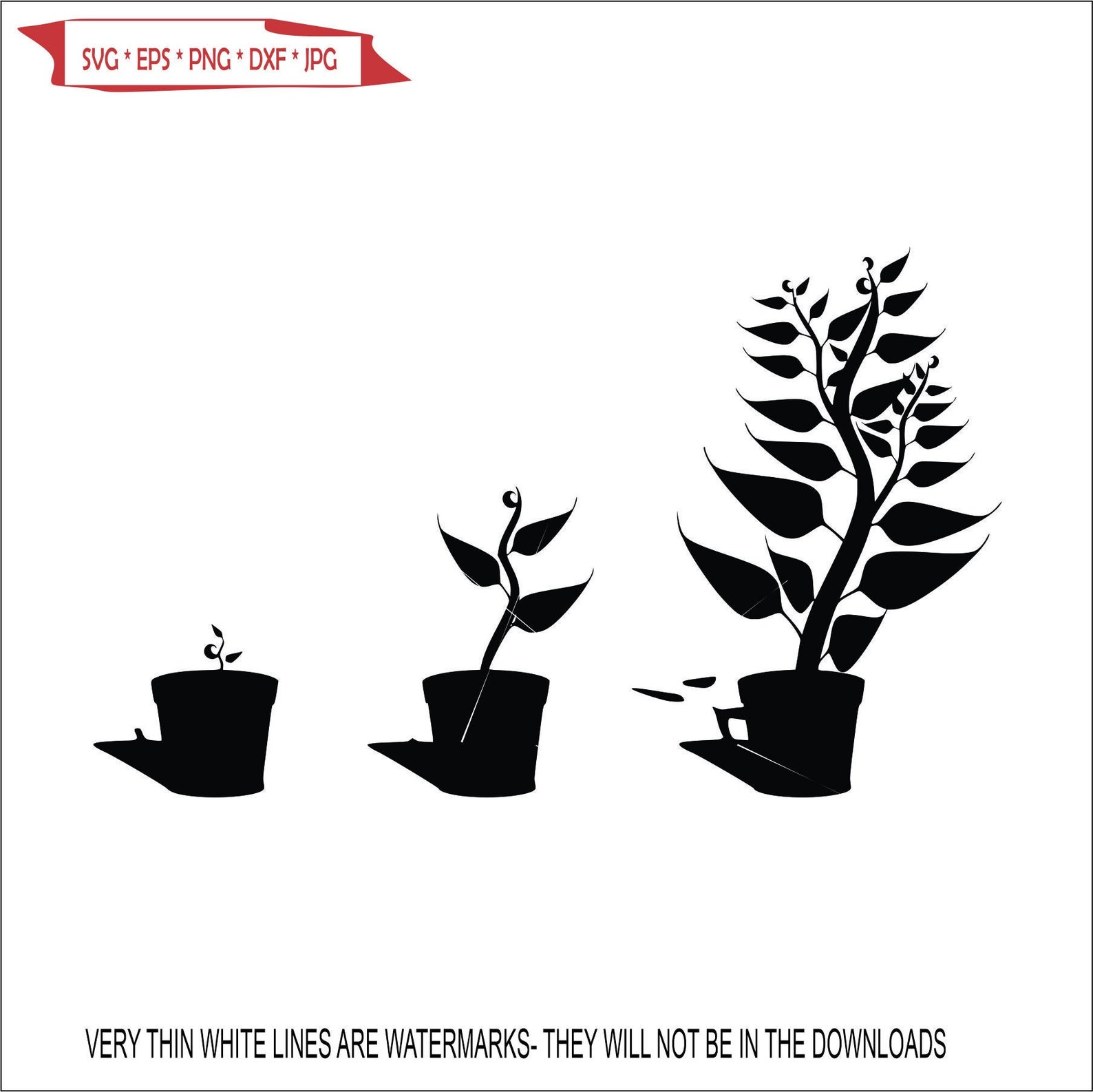 Flower Stage of Growth Pot Perennials Plant Garden Dirt Living Ftd ...