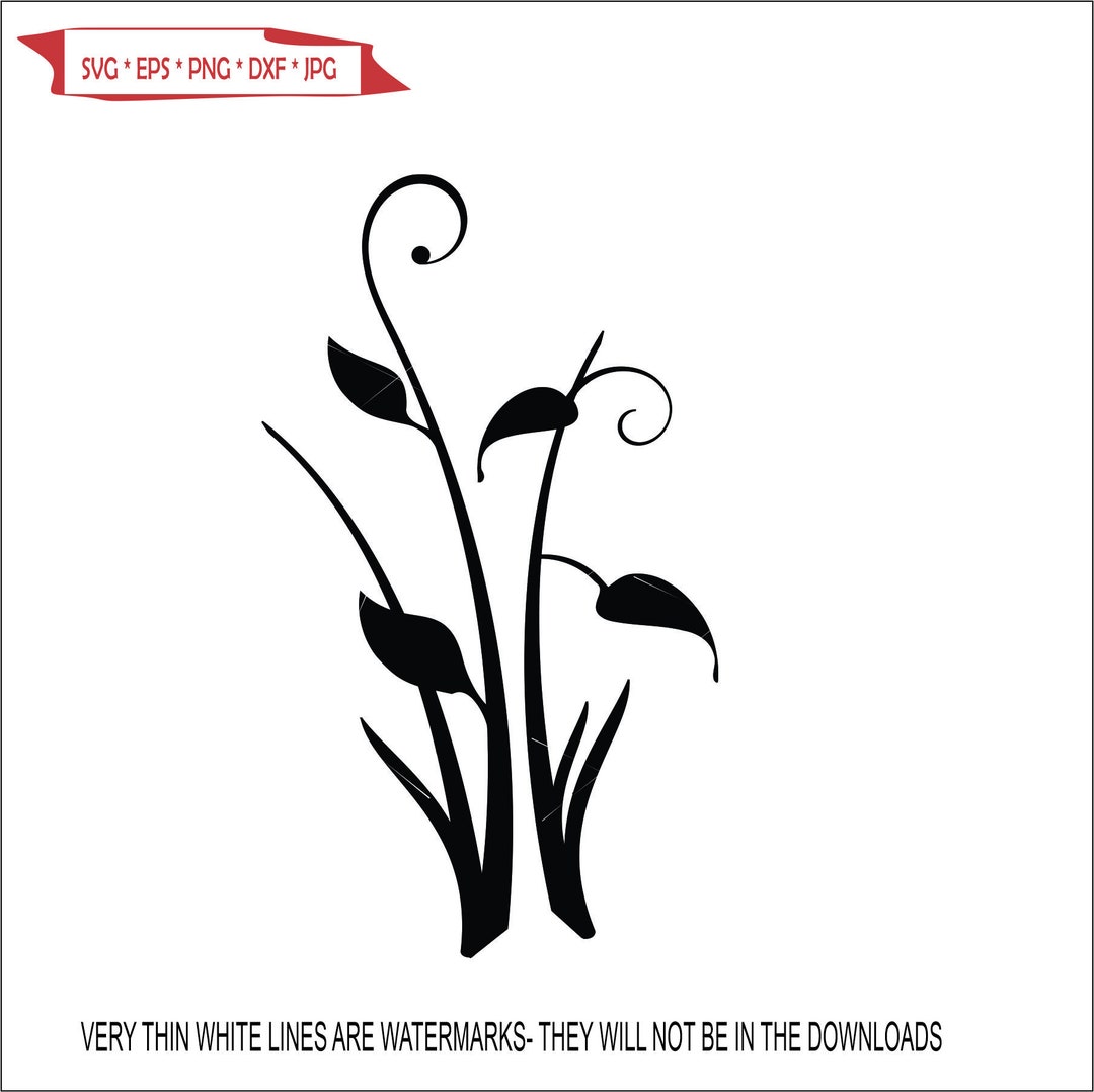 Simple Pond Plant Lake Swamp Nature Vegetation Leaves Wetland Landscape ...