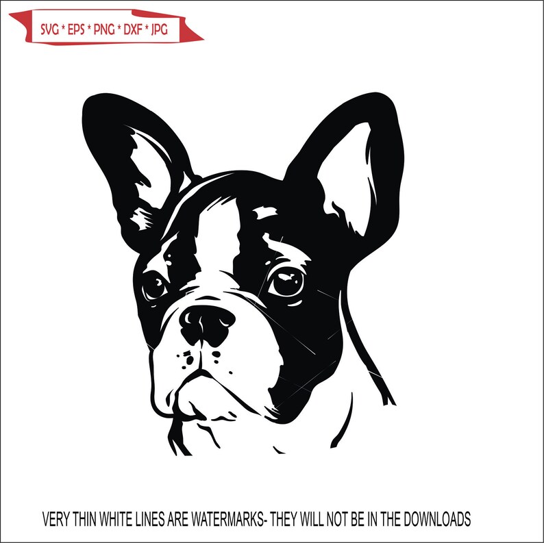 Frenchie Face Head Bull Dog Pet Pedigree Breed Affectionate - Etsy